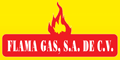 Flamagas Logo